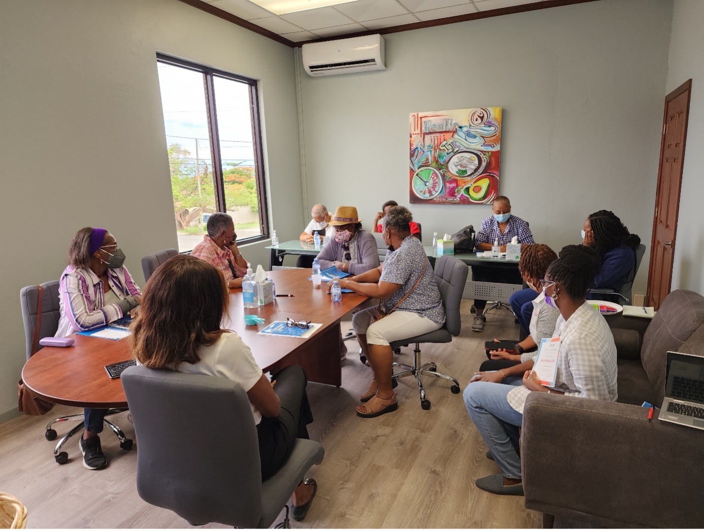 Cohort 2 - VI Diabetes Center of Excellence